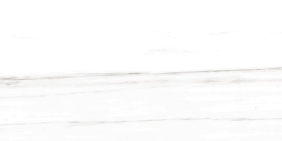 Epic 12x24 Polished Porcelain Tile in Dolomite – MILE®stone