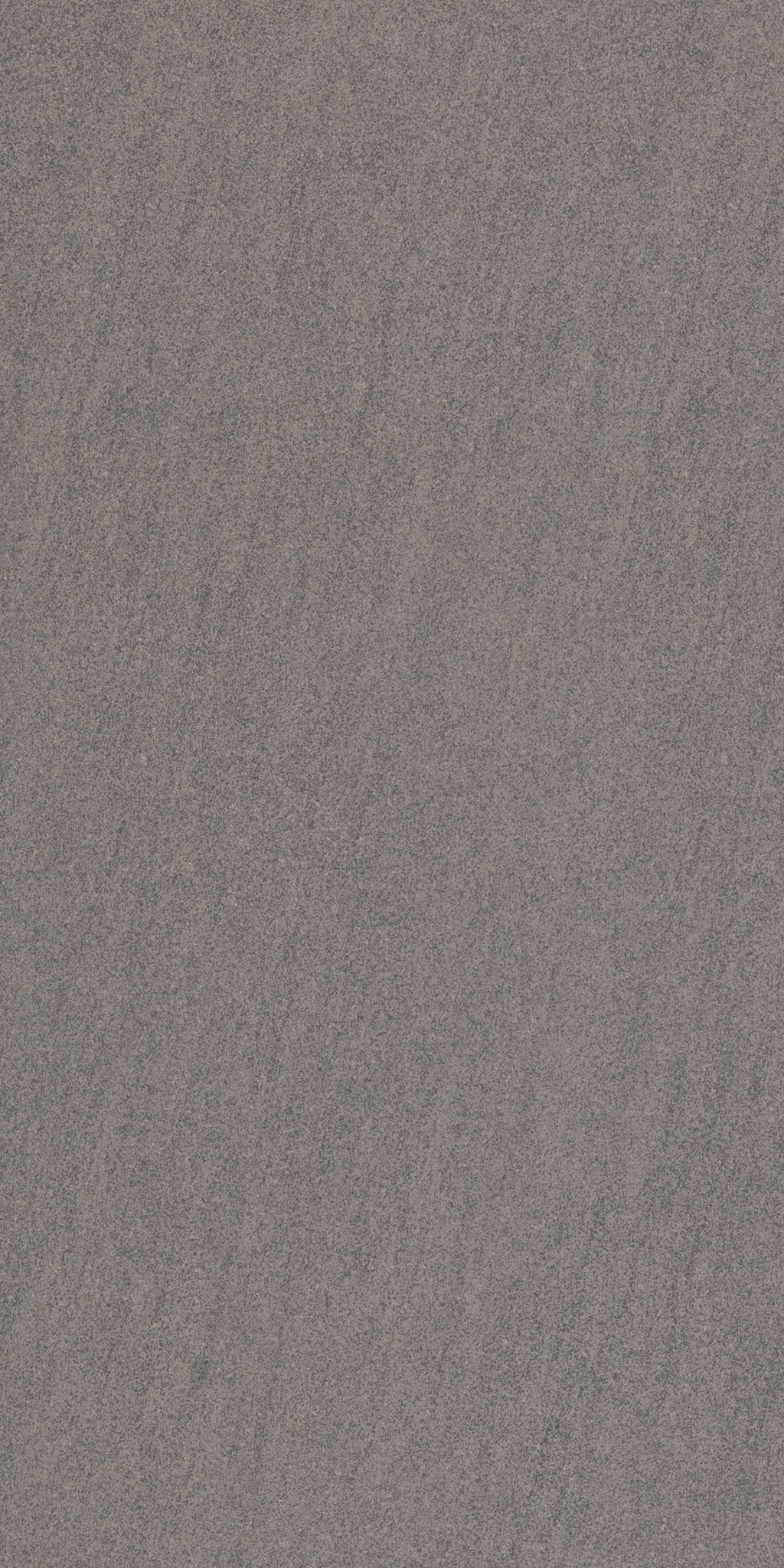 Basalt 12x24 Matte Porcelain Tile in Light Grey – MILE®stone