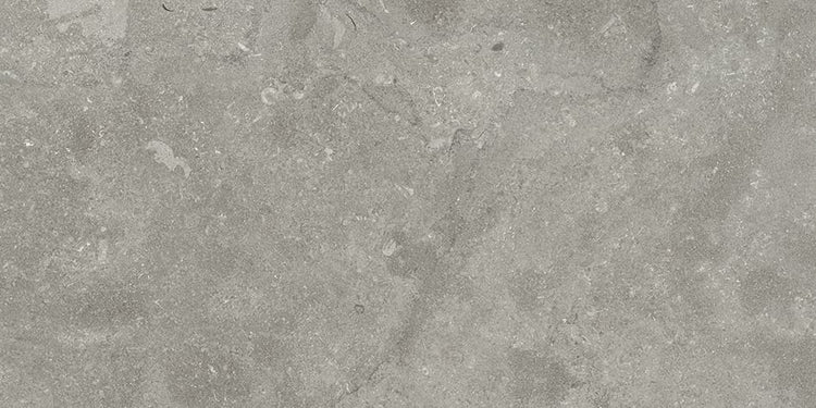 EcoStone 12x24 Matte Porcelain Tile in Cross-Cut Fossil – MILE®stone