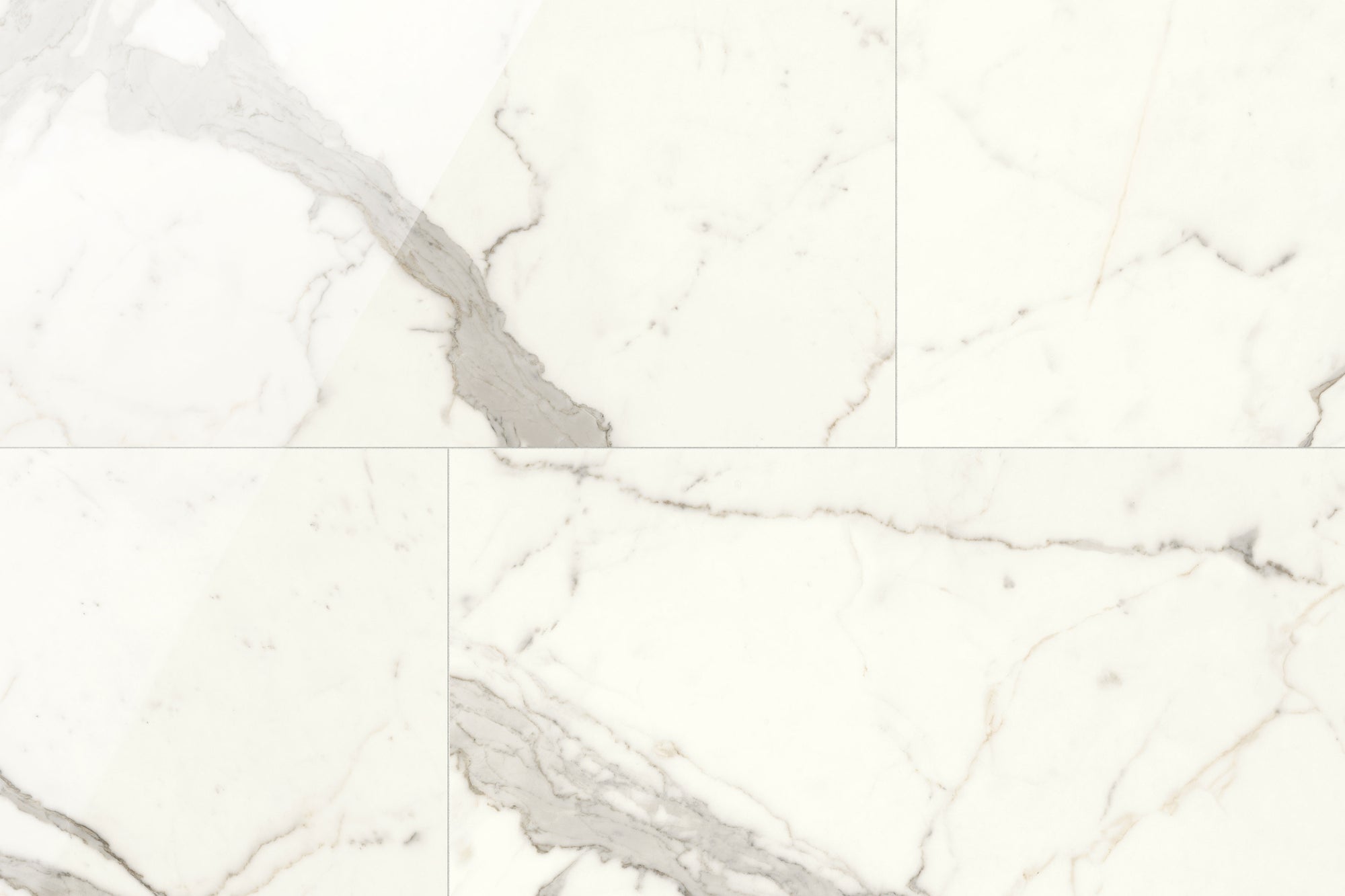 JEM 24x48 Polished Porcelain Tile in Forte White – MILE®stone