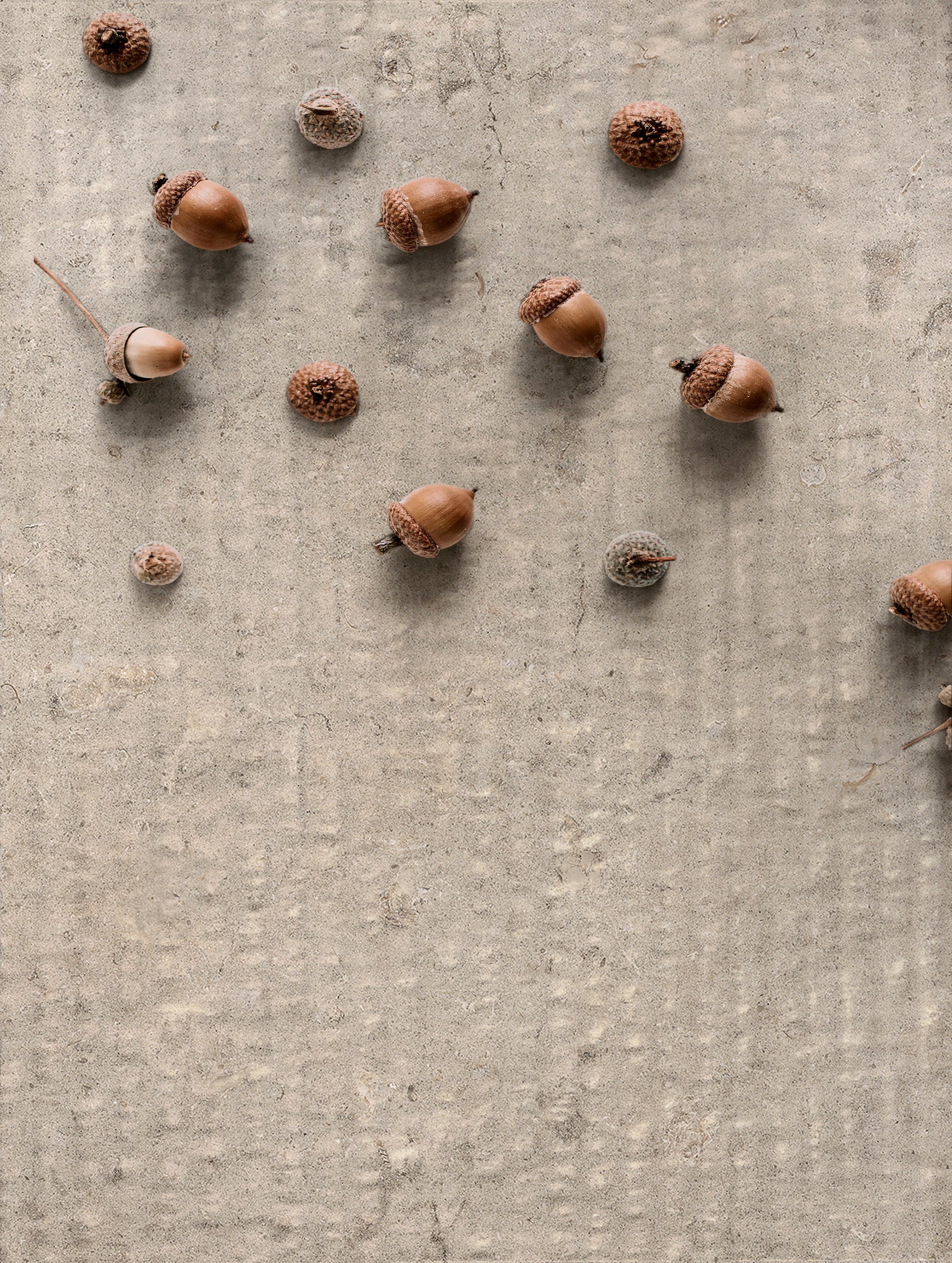 Lith 24x48 Chiseled Porcelain Tile in Antique Cream – MILE®stone