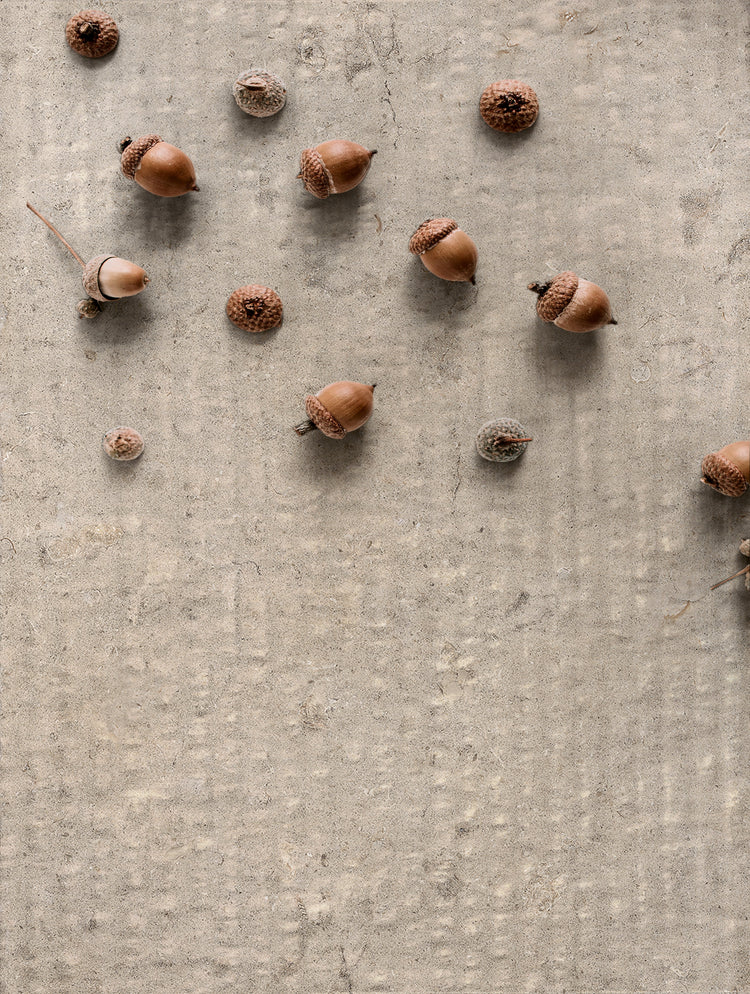 Lith 24x48 Chiseled Porcelain Tile in Antique Cream – MILE®stone