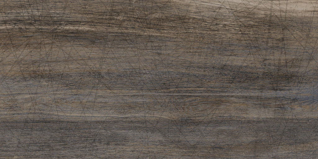 Untamed™ 24x48 Matte Porcelain Tile in Drift Plank – MILE®stone
