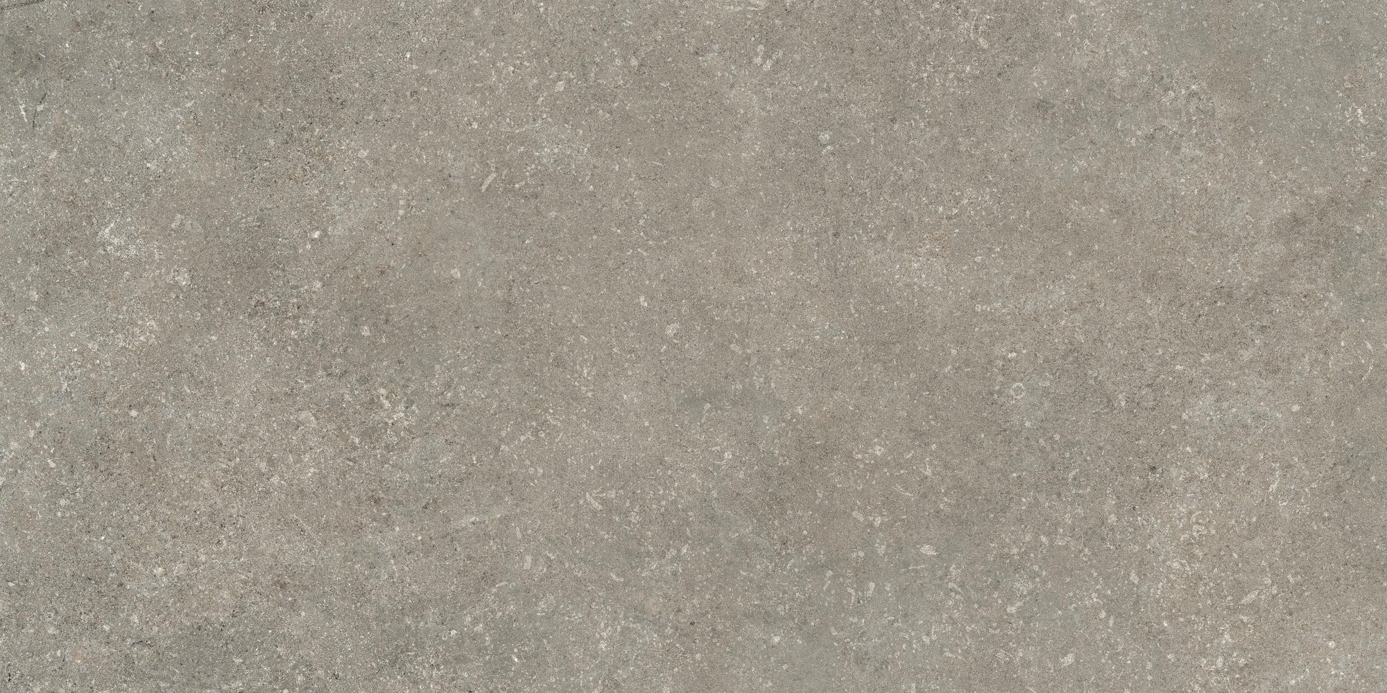Untamed™ 12x24 Matte Porcelain Tile in Wander Ash – MILE®stone
