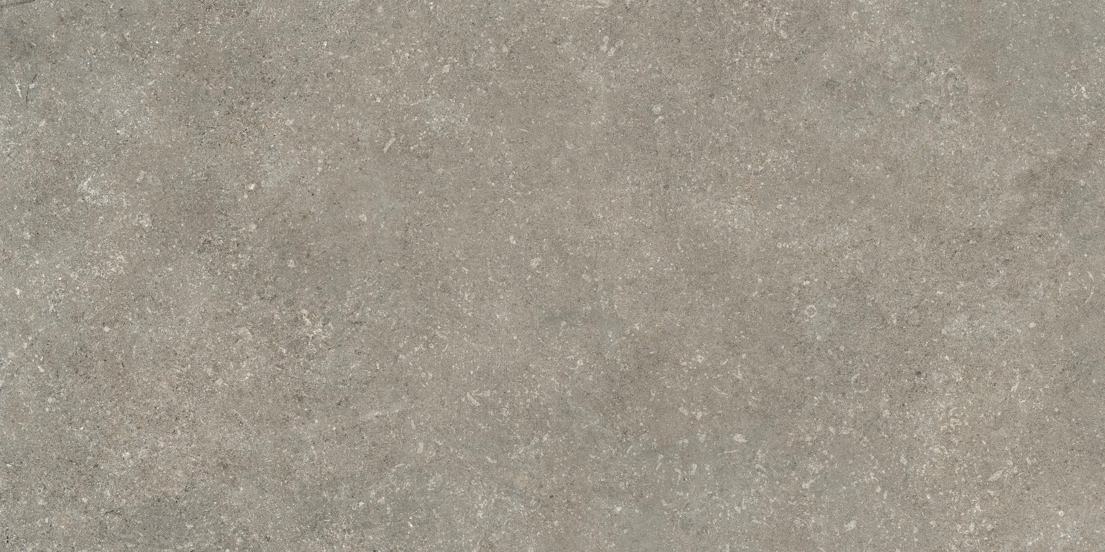 Untamed™ 12x24 Matte Porcelain Tile in Wander Ash – MILE®stone