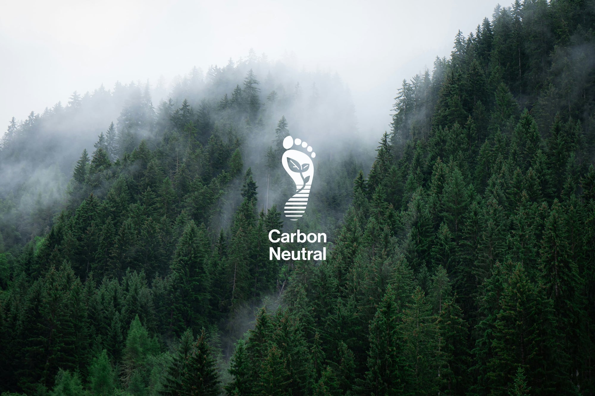 Carbon neutral collection – MILE®stone