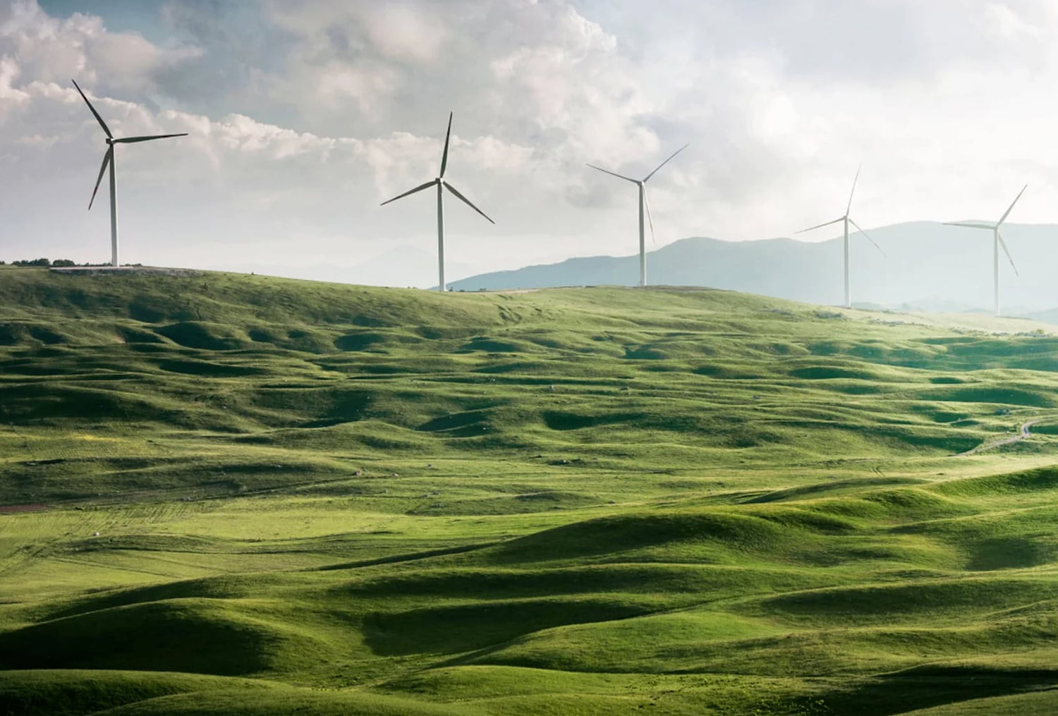 Catalogs – MILE®stone